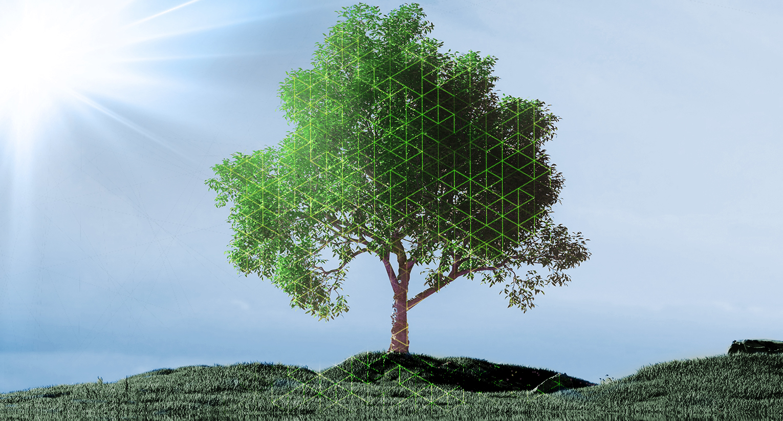 Parsons Family Legacies: A Legacy Continued