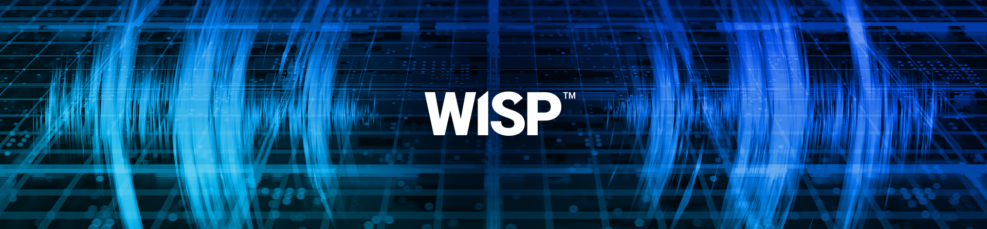 Wideband RF Data Capture | WISP™